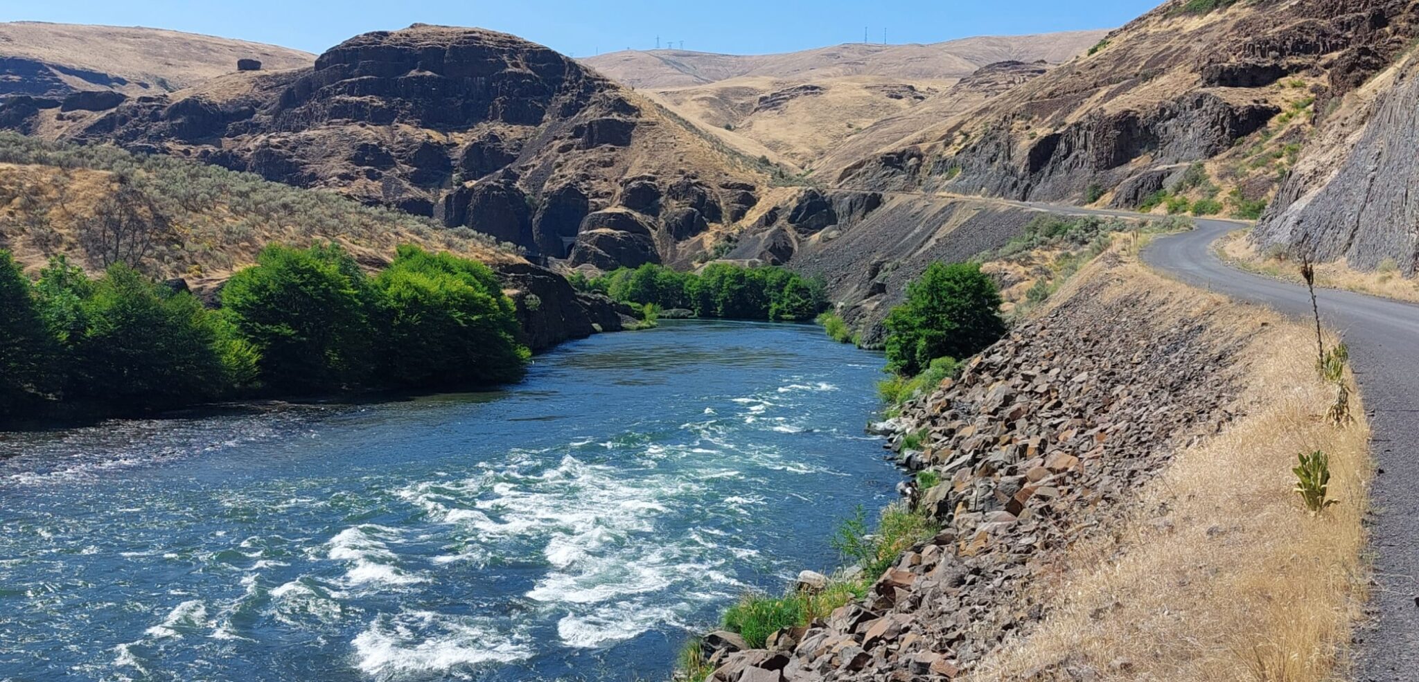 Guided Fishing Trips on Oregon Rivers